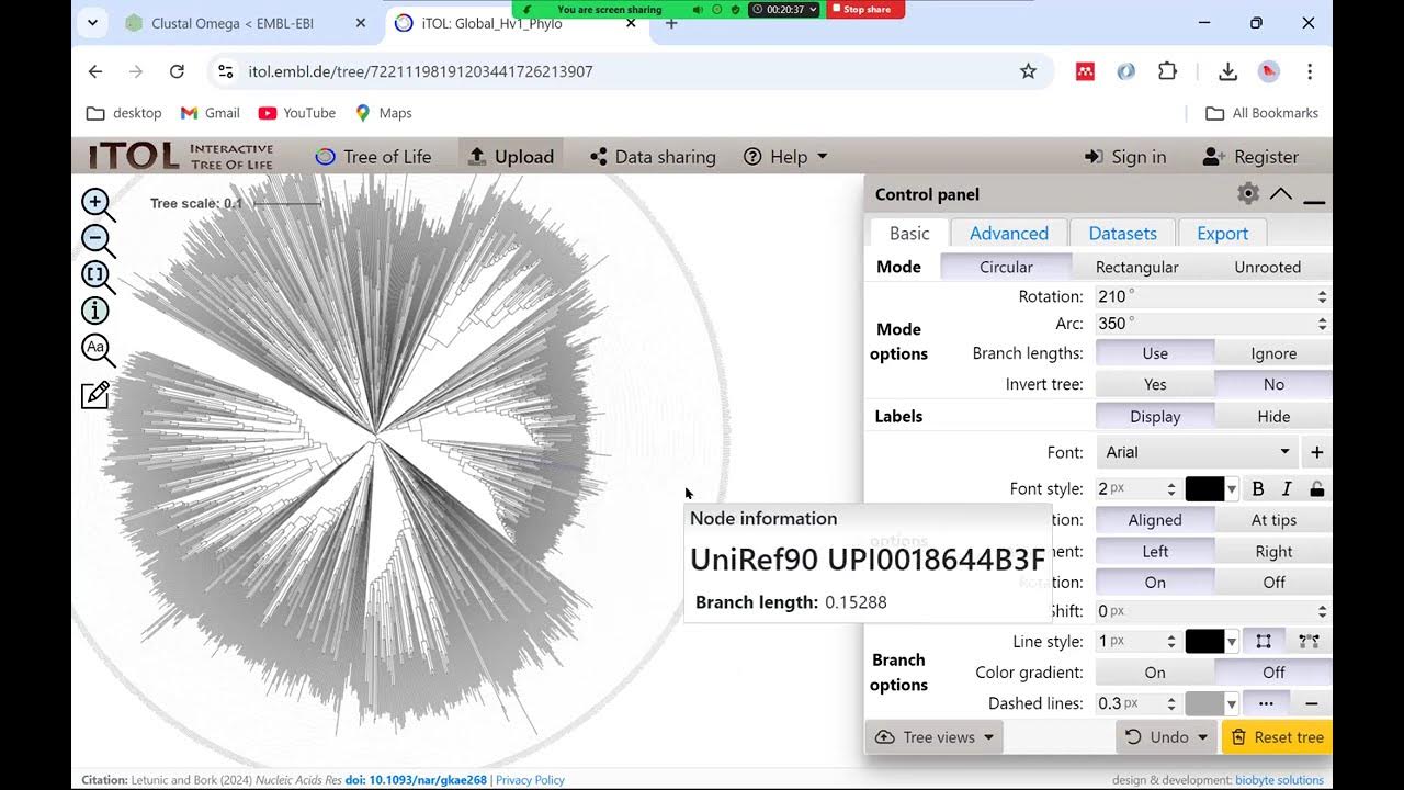 Research Tools: Tutorial 01 || Multiple Sequence Alignment & Phylogenetic Tree Construction ...
