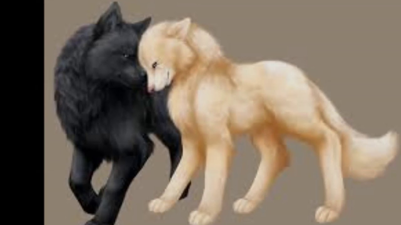 ~With only you- Buddy Brown~ wolf love - YouTube