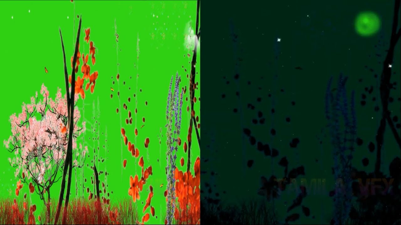 Day & Night Green Screen Background Royalty Free to Use - YouTube