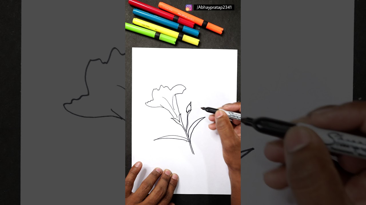 How to Draw Kaner Flower step by step for beginners #shorts #drawing ...