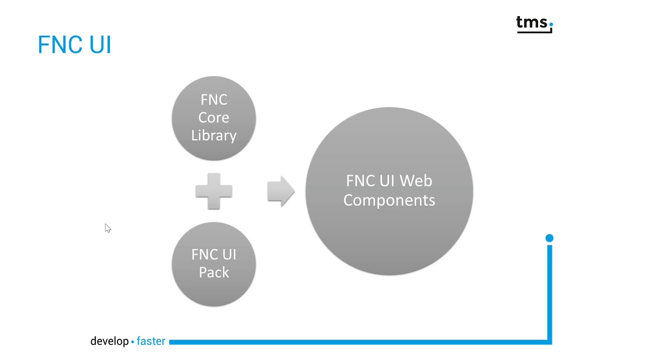 TMS WEB Core: Installation - YouTube