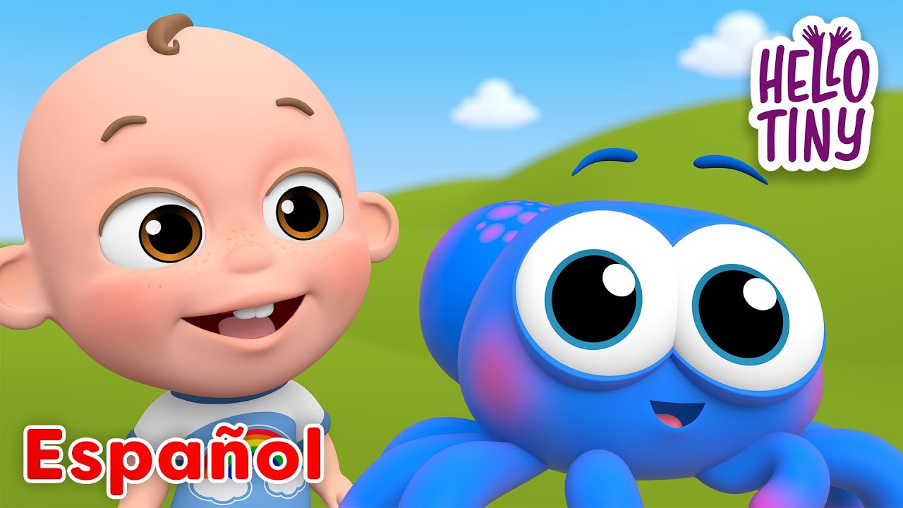 Incy Wincy Araña 🕷️ Arañas para Niños | Hello Tiny en Español ...