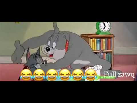 Tom u jerry dublaj kurdi