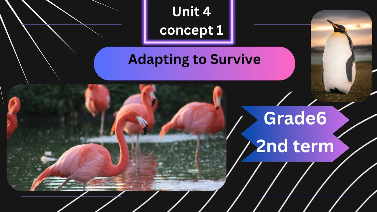 Science Primary 6 : Unit 4: Concept 1 : Adapting to Survive - YouTube