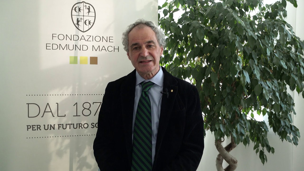 Claudio Ioriatti - Dirigente CTT - Annata olivicola - YouTube