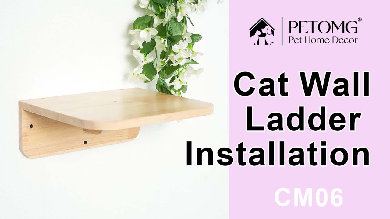 CM06 Installation Steps | Wooden Cat Steps | PETOMG - YouTube