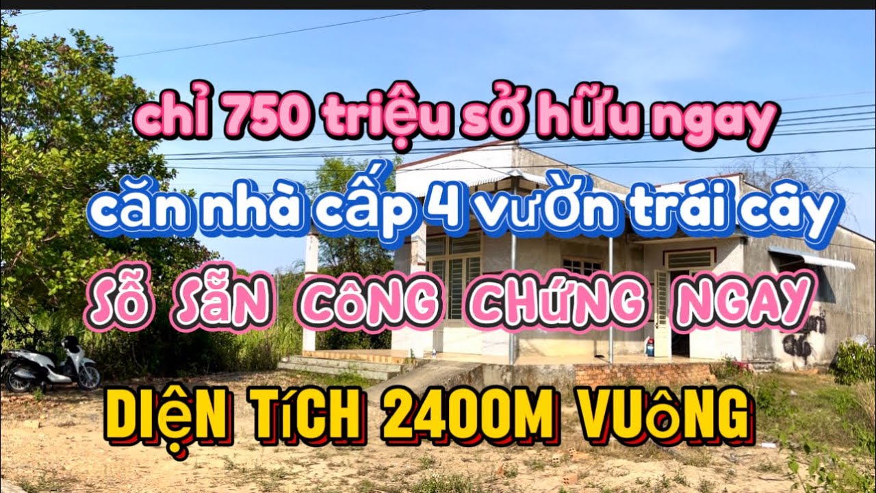 chỉ 750 triệu sỡ hữu ngay 2400m vuông có nhà cấp 4 vườn trái cây sỗ sẵn công chứng ngay - YouTube
