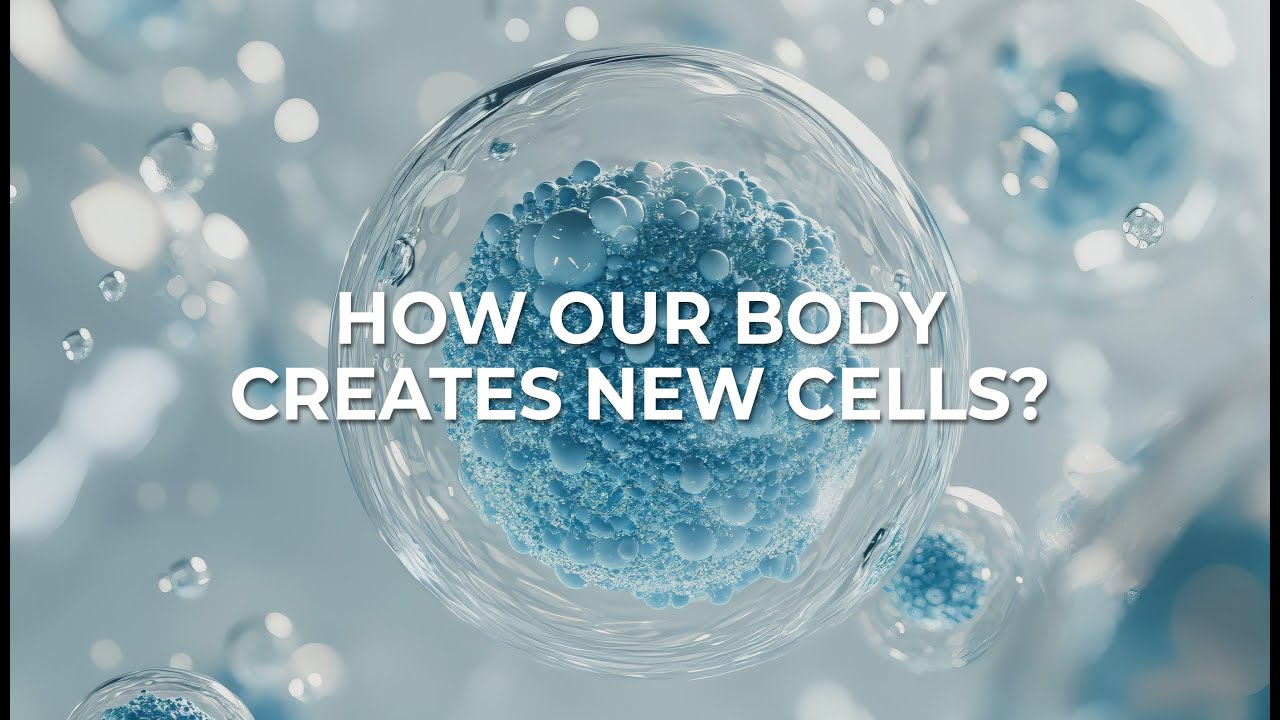 Why Nutrition Matters – When Making New Cells - YouTube
