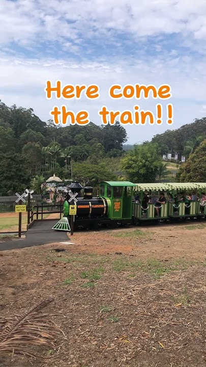 Choo Choo Train - YouTube