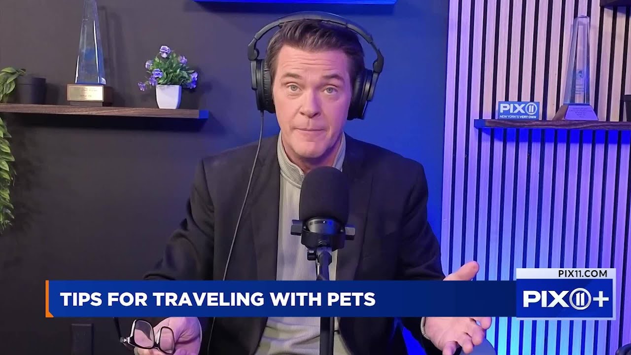 Tips for Traveling with your Pet | Pet Nation - YouTube
