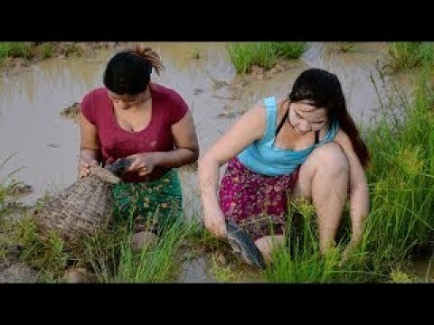 Wow!!Beautiful girl Fishing at battambang Pailin How to catches Fish By Hand Part 111