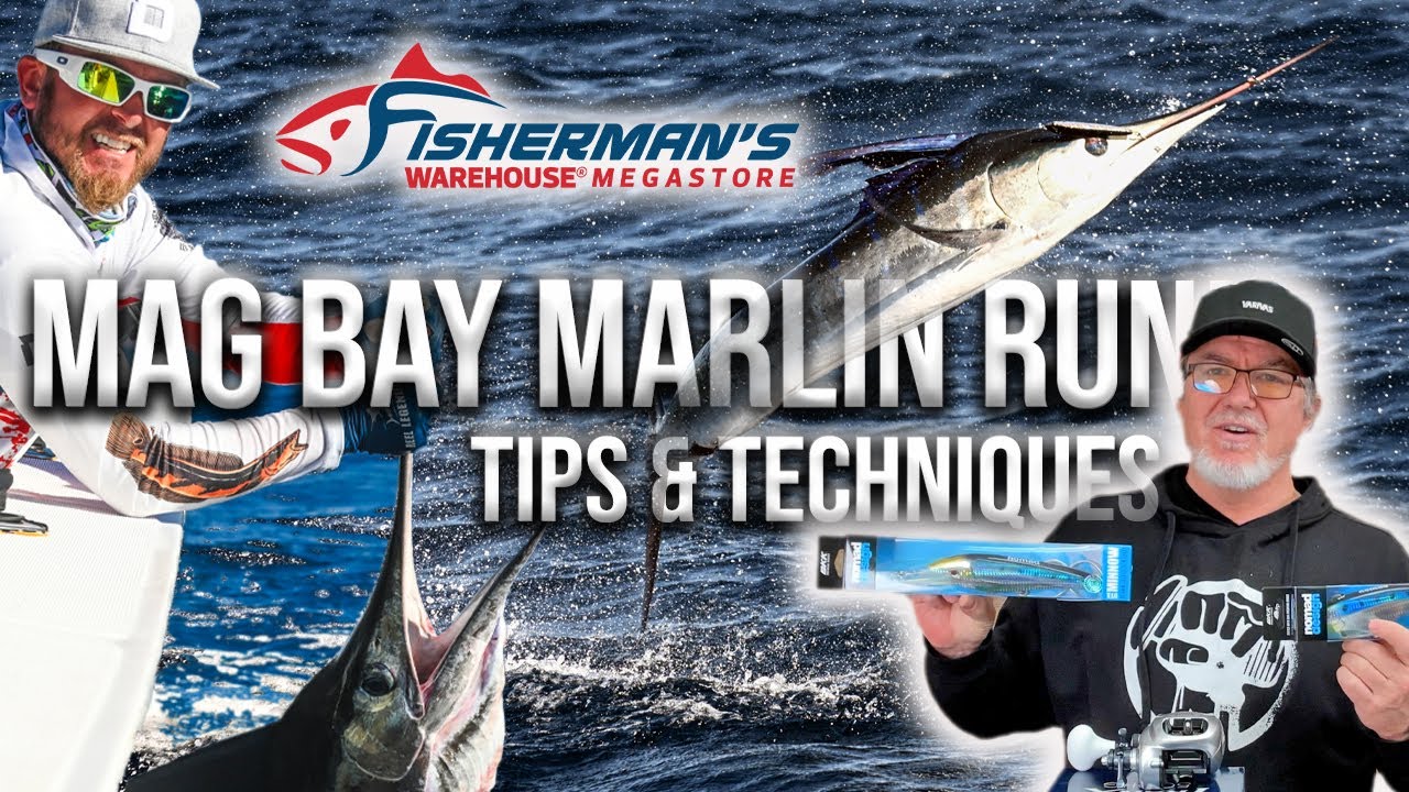 MAGDALENA BAY MARLIN RUN 2024 - TIPS - TECHNIQUES AND TRAVEL INFO - YouTube