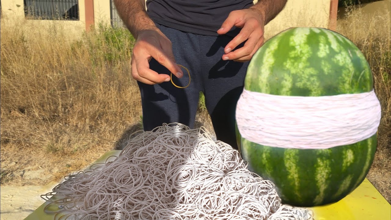 2500 Rubber Bands VS Watermelon 💥 - YouTube