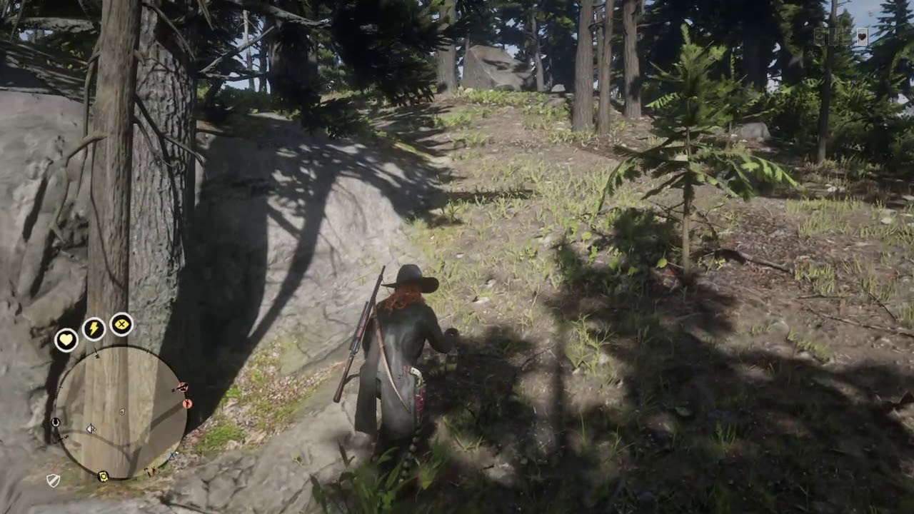 Red Dead Redemption 2 Online Strawberry Stables Collectible - YouTube