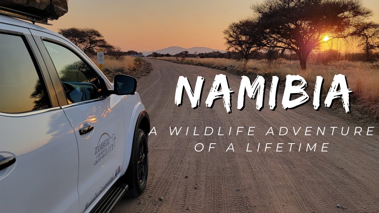 Namibia. A wildlife adventure of a lifetime - YouTube