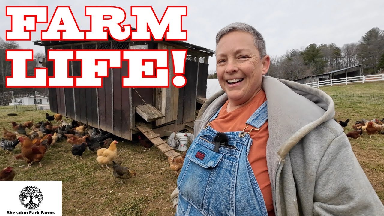 A Day In The Life Of A Small Farm - YouTube