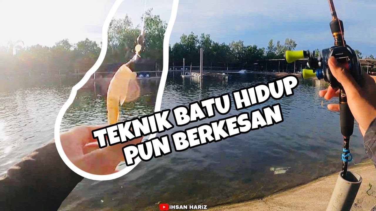 [FISHING 62] TEKNIK CASTING BATU HIDUP SEPENUH MASA - YouTube