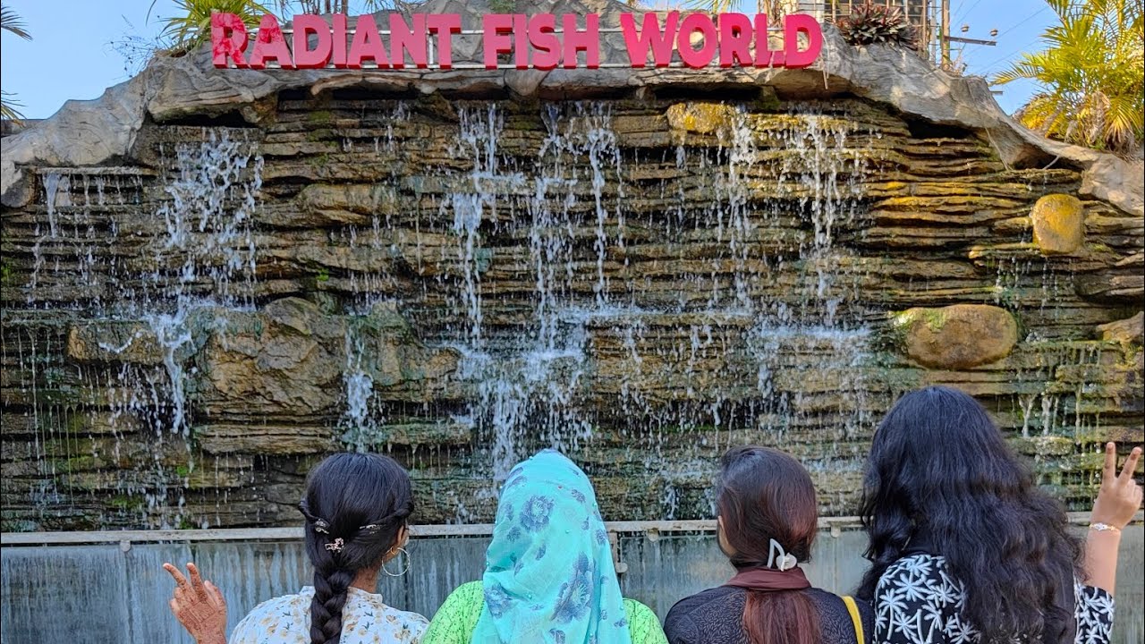 Radiant Fish World - YouTube