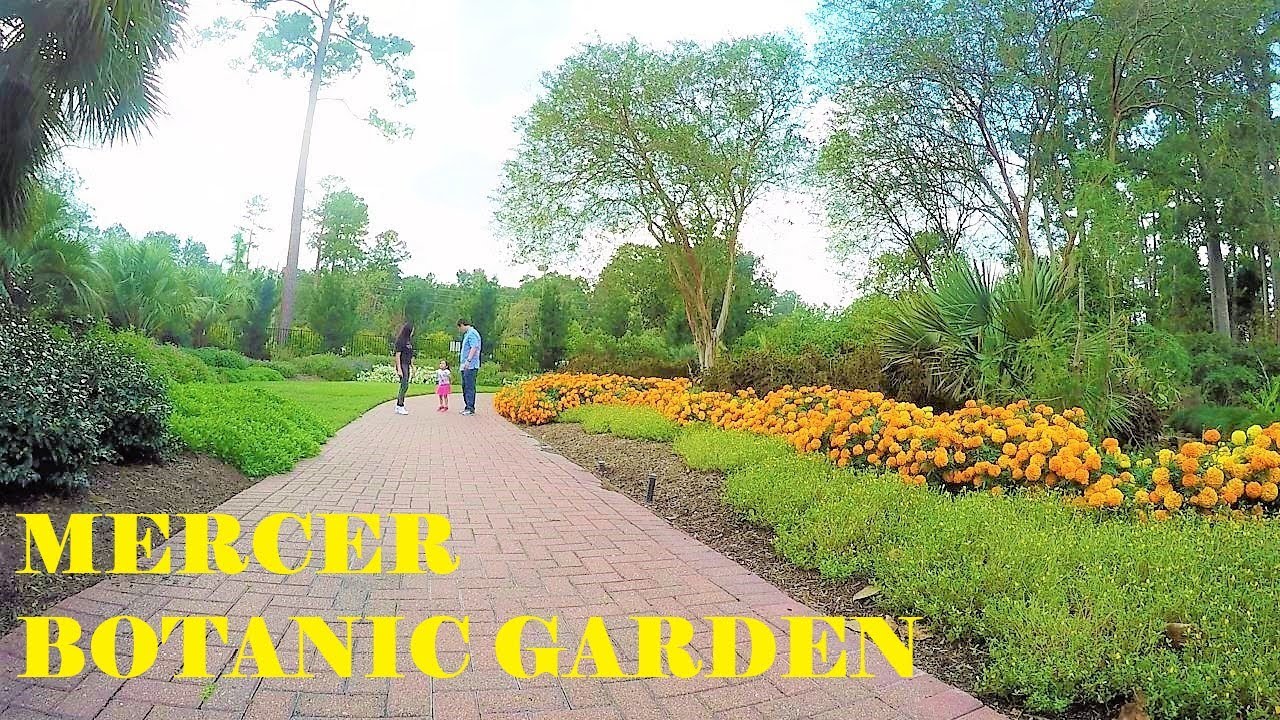MERCER BOTANICAL GARDEN | Spring Humble| - YouTube
