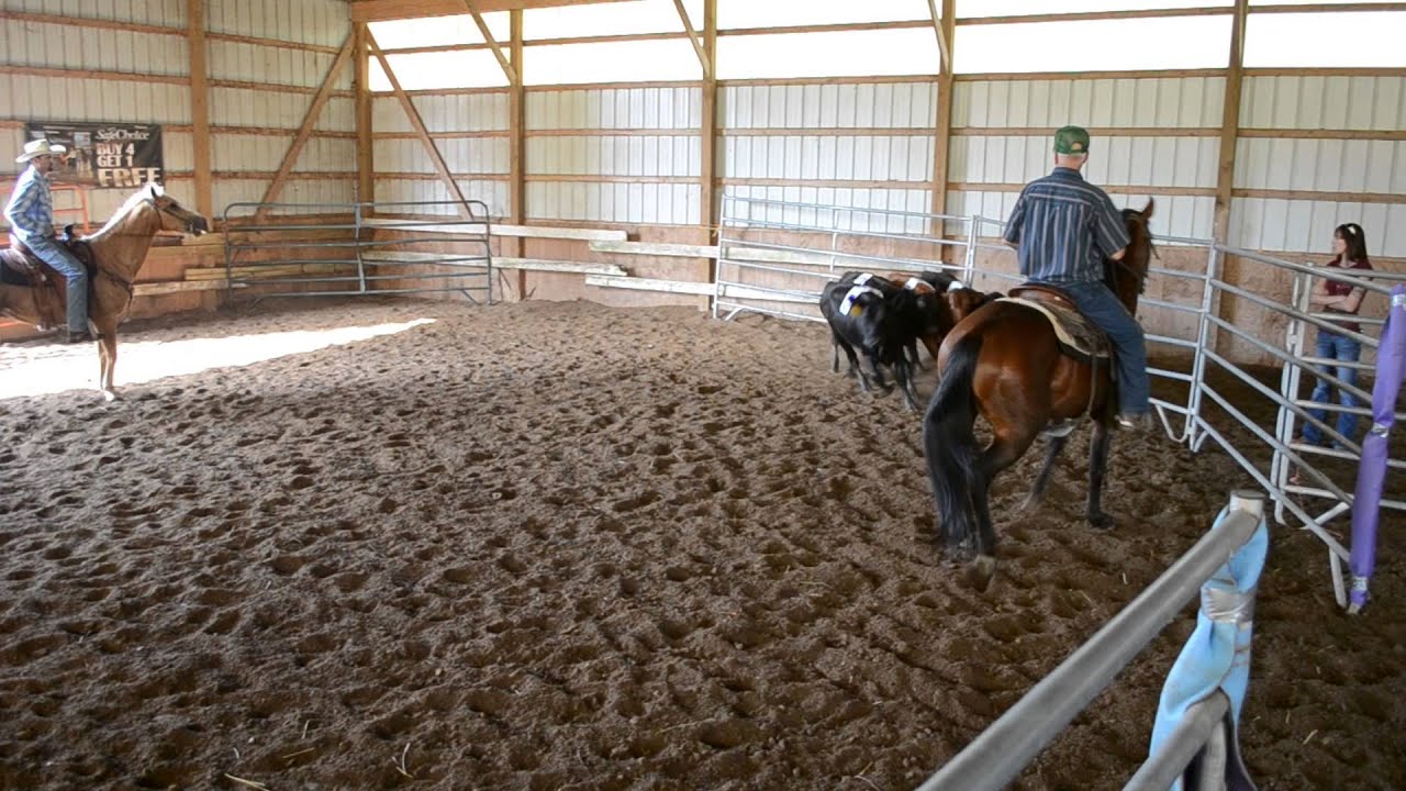 Charlie & Dana-L & L round robin sorting June 2014 #6 - YouTube