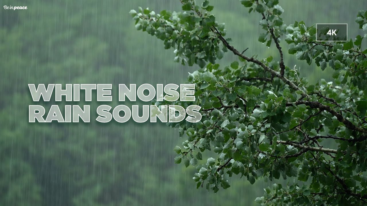 White noise of a Heavy Rain to relax and sleep - 4k - YouTube