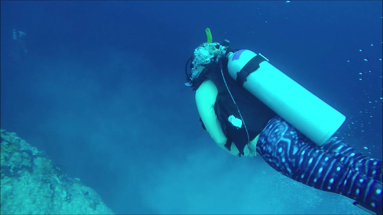 Blackbeard Live Aboard Dive Cruise, Bahamas, 2018 - YouTube