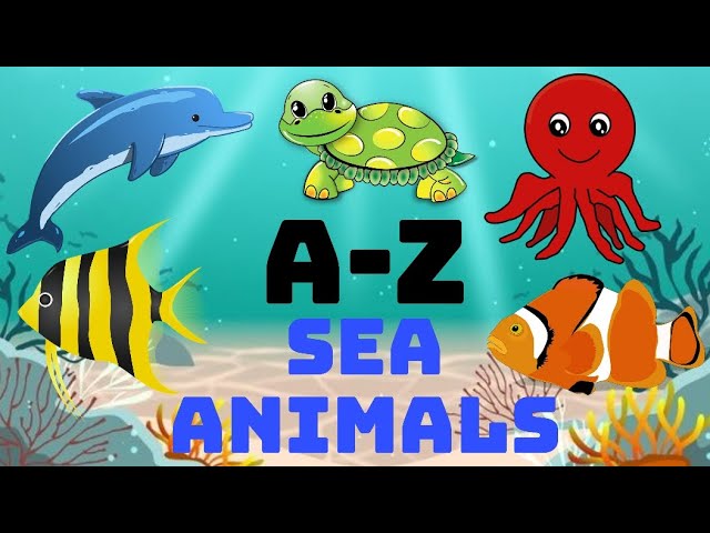 Fish Animals A Z 27 New Animal Species Discovered, Including