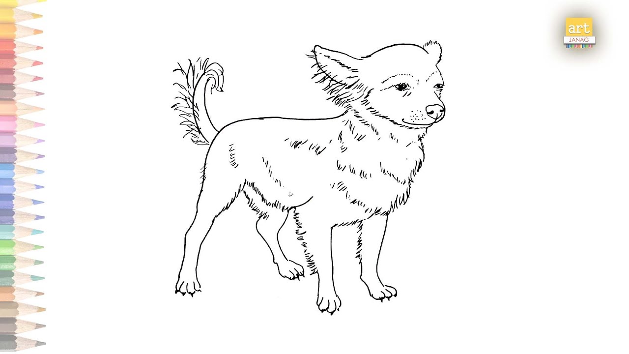 Chihuahua Dog outline drawing 2 | How to draw Chihuahua step by step ...