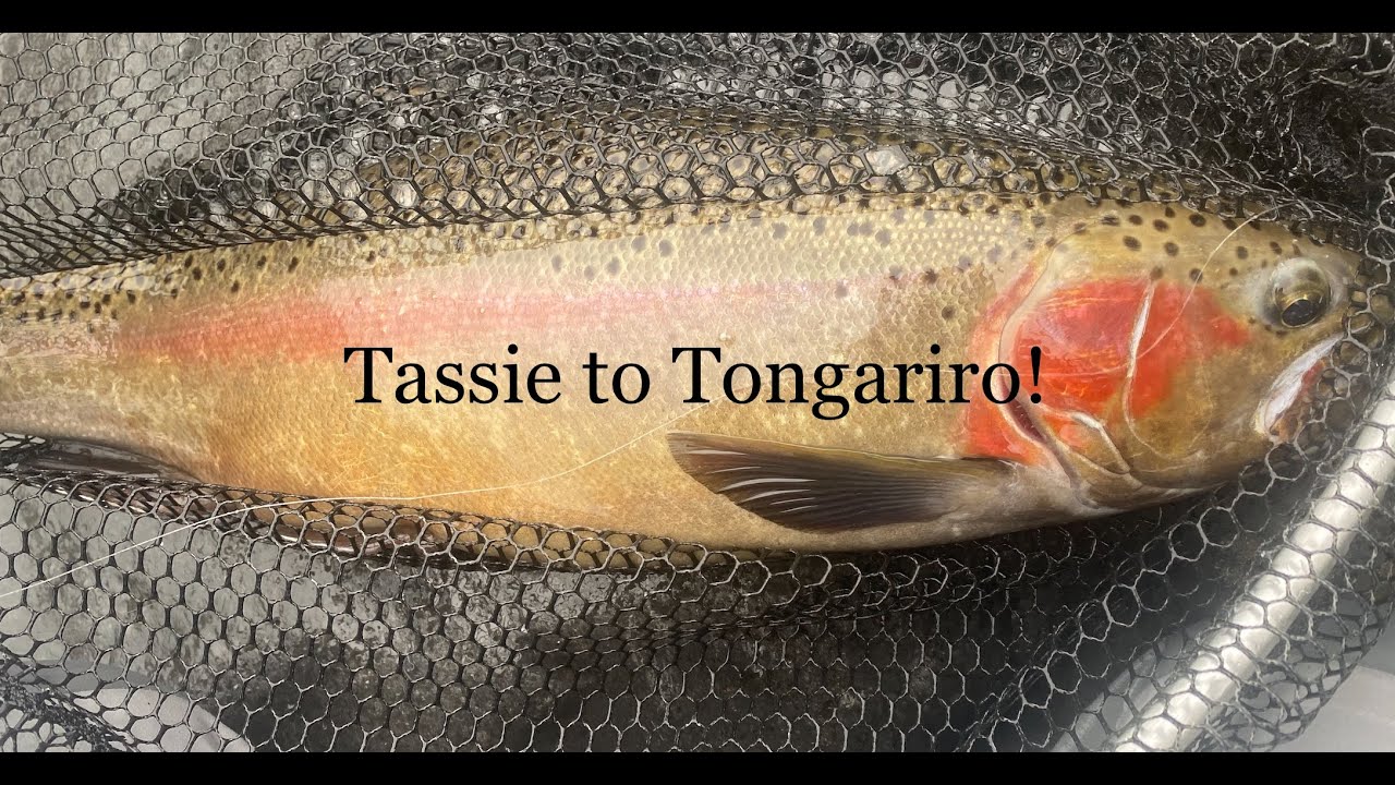 The less than ordinary fisherman - YouTube
