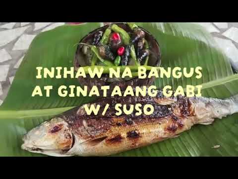 GINATAANG GABI W SUSO AT INIHAW NA BANGUS - YouTube