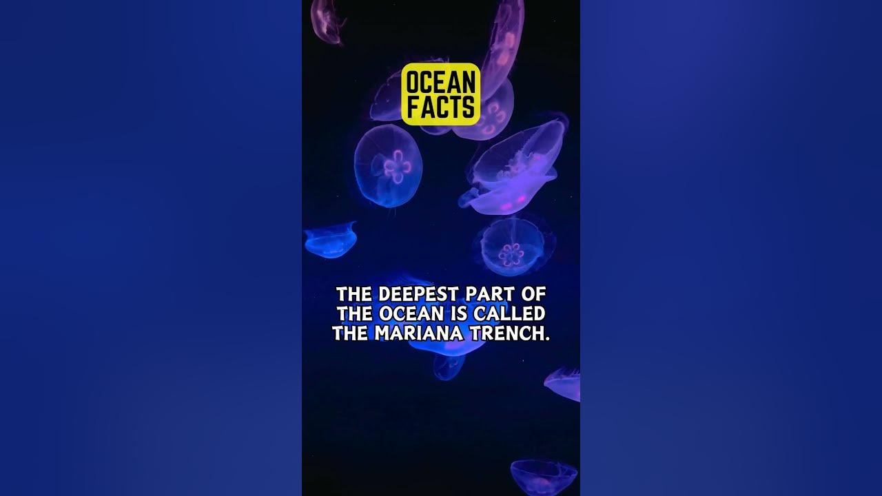 🌊 The Mariana Trench: Deeper Than Everest! - YouTube