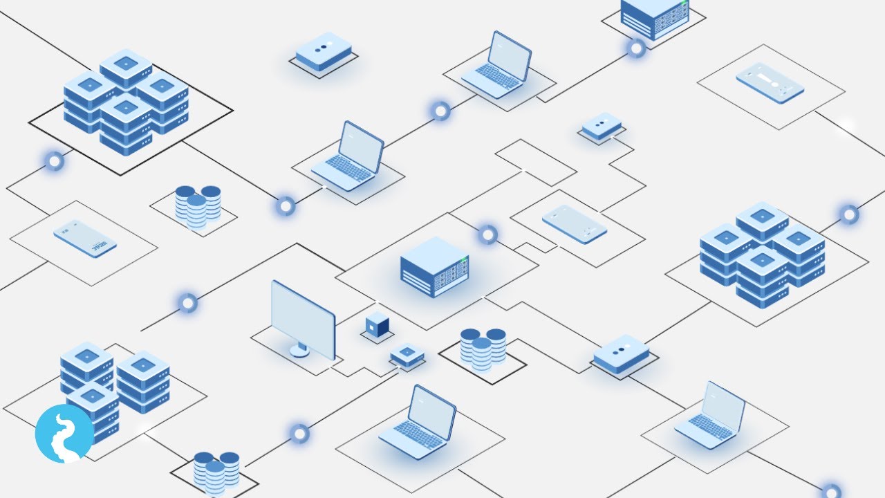 Enclave | Client Example 2022 | Squideo Animated Explainer Videos - YouTube