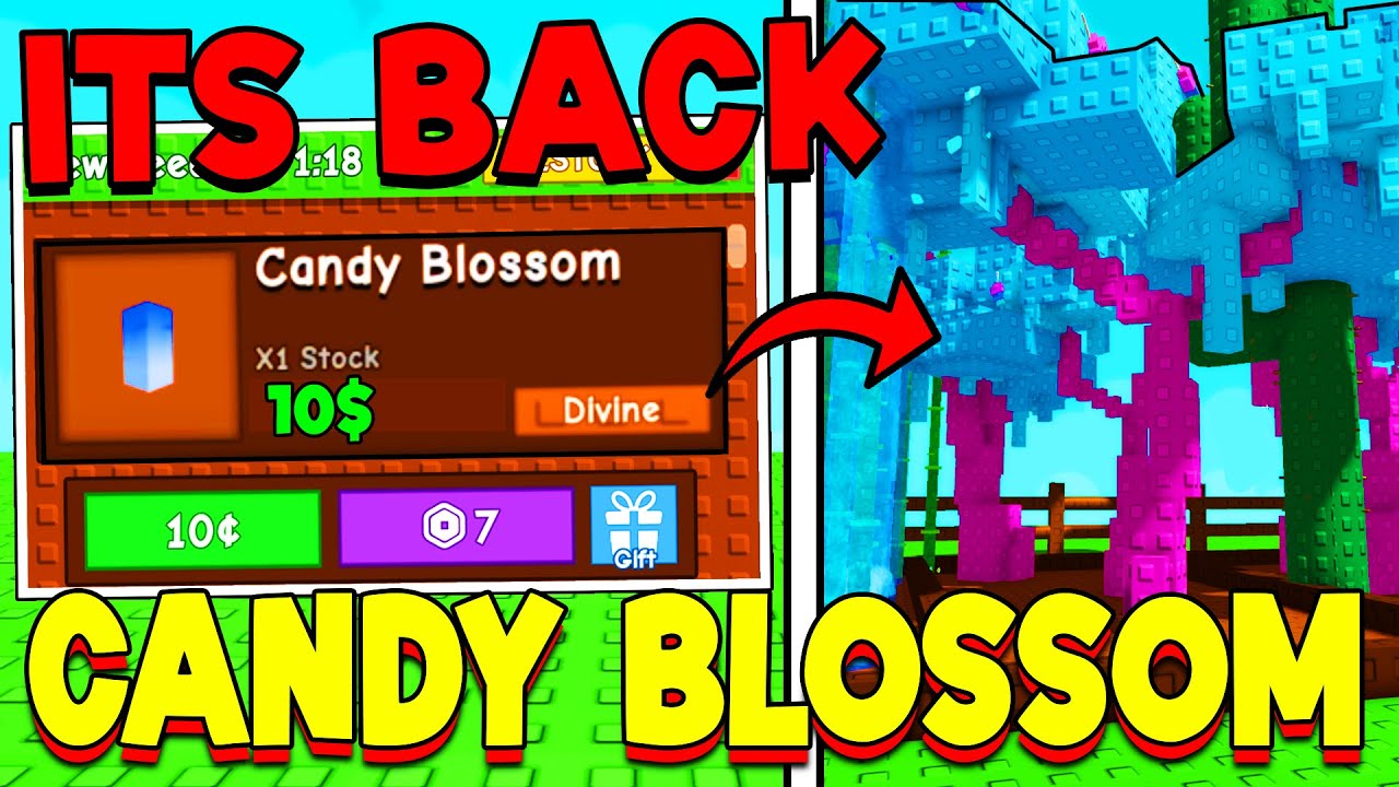 CANDY BLOSSOM IS RETURNING in Grow A Garden? ROBLOX - YouTube