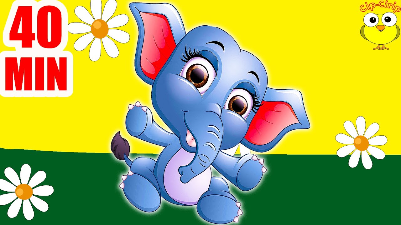 Elefantul, prietenul meu - Cantece pentru copii (desene animate) | Cip ...