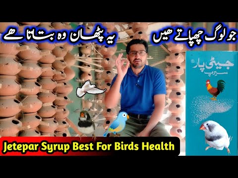 One of The Best Syrup For Breeding Birds Health | Jetepar ...