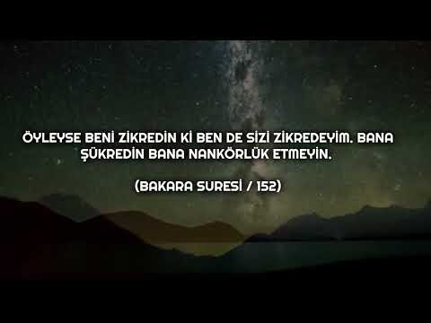 BİR KAMİL MÜRŞİDE VARMAZSAN OLMAZ İLAHİSİ ZİKİRLİ 🌿