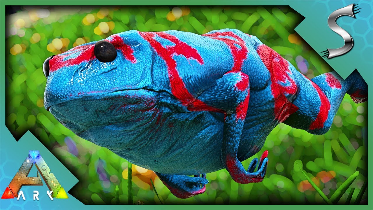 THESE CREATURES CAN KNOCK YOU OUT WITH ITS FART! TAMING THE DART FROG ...