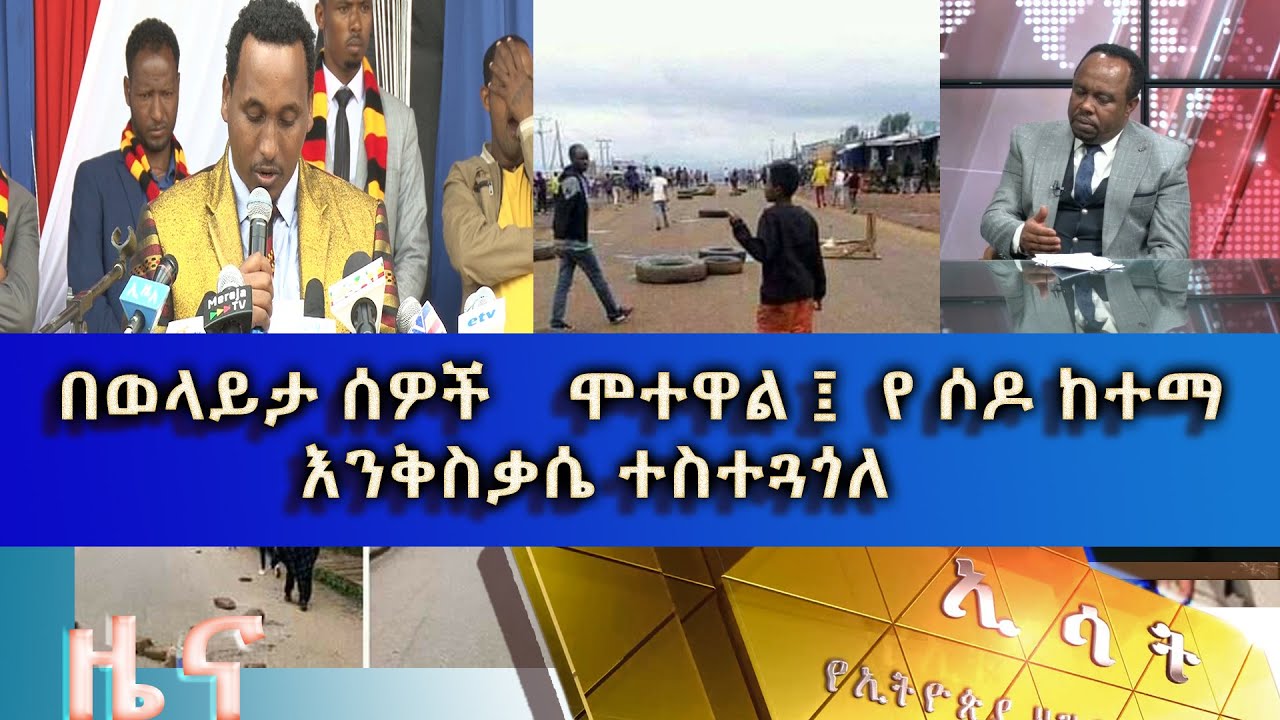 Ethiopia - ESAT Amharic News Monday 10 August 2020 - YouTube