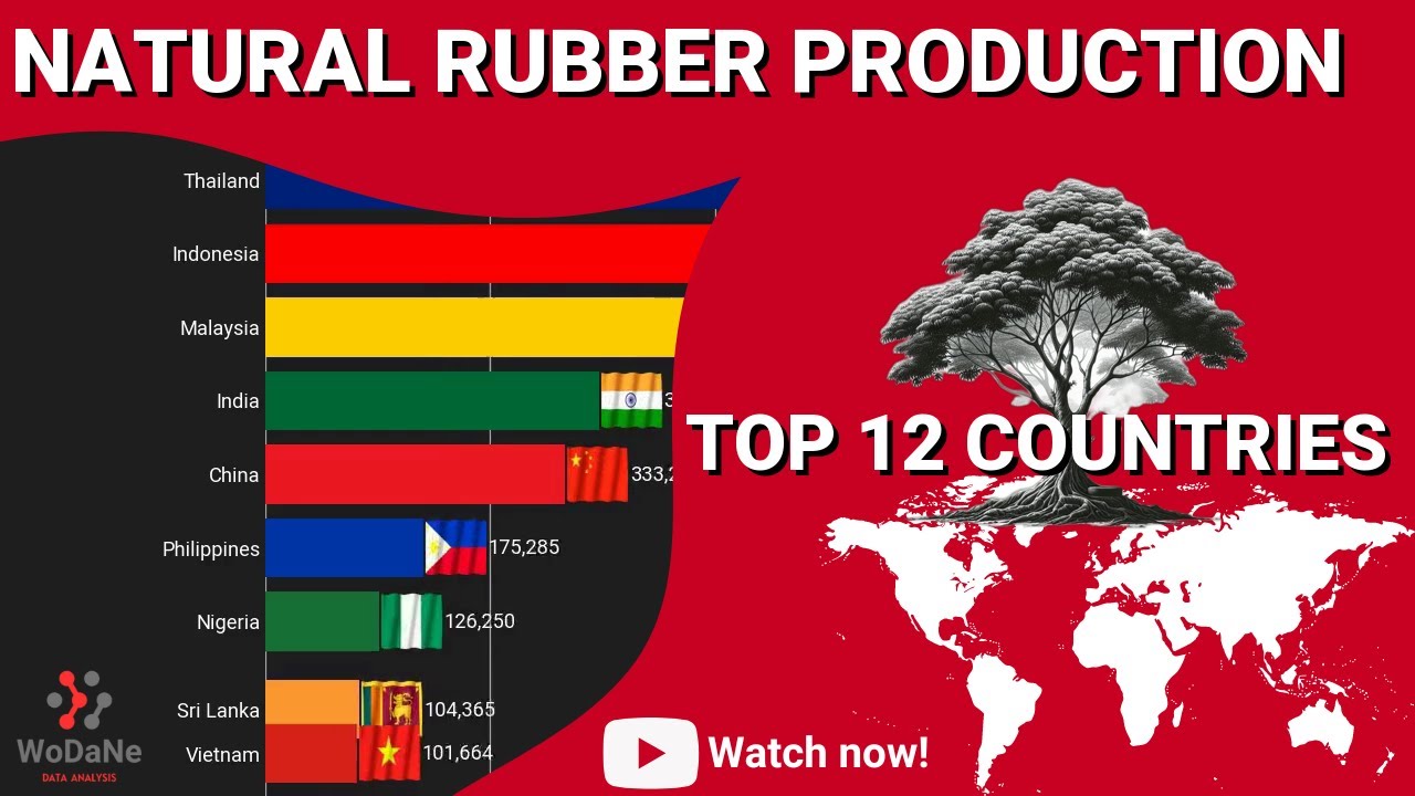 TOP 12 countries by Natural Rubber Production - YouTube
