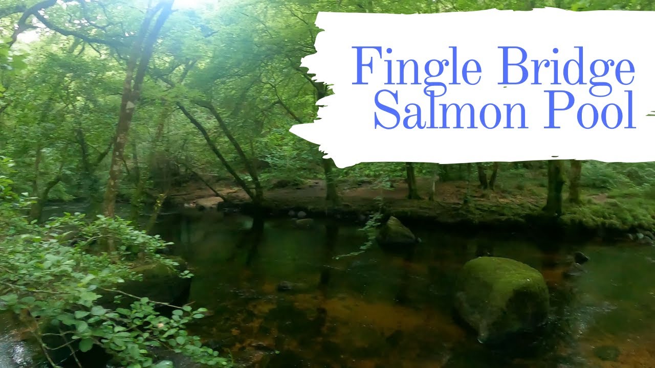 Salmon Pool via Fingle Bridge, Hunters path and Fisherman's path loop ...