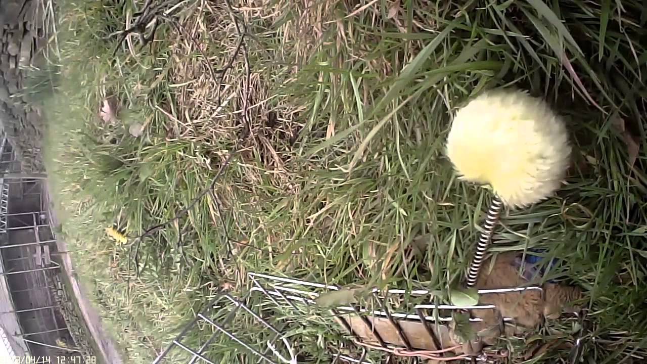 My C90 Crash at Matlock! - YouTube