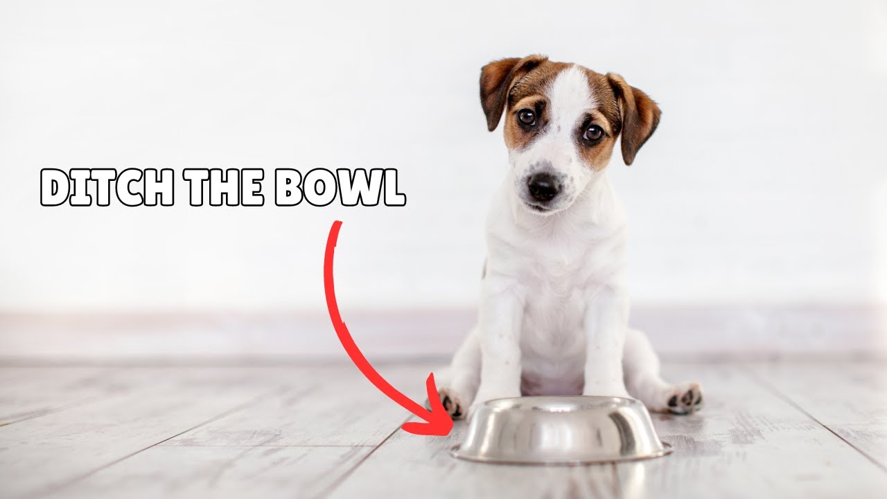 Why You Should Ditch the Bowl - YouTube
