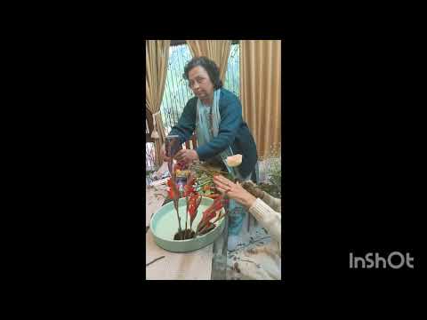 Ragini's garden and Bonsai's #Episode 43#ikebana#Ohara school #trending#,workshop🌲🌿🌿☘️🍀