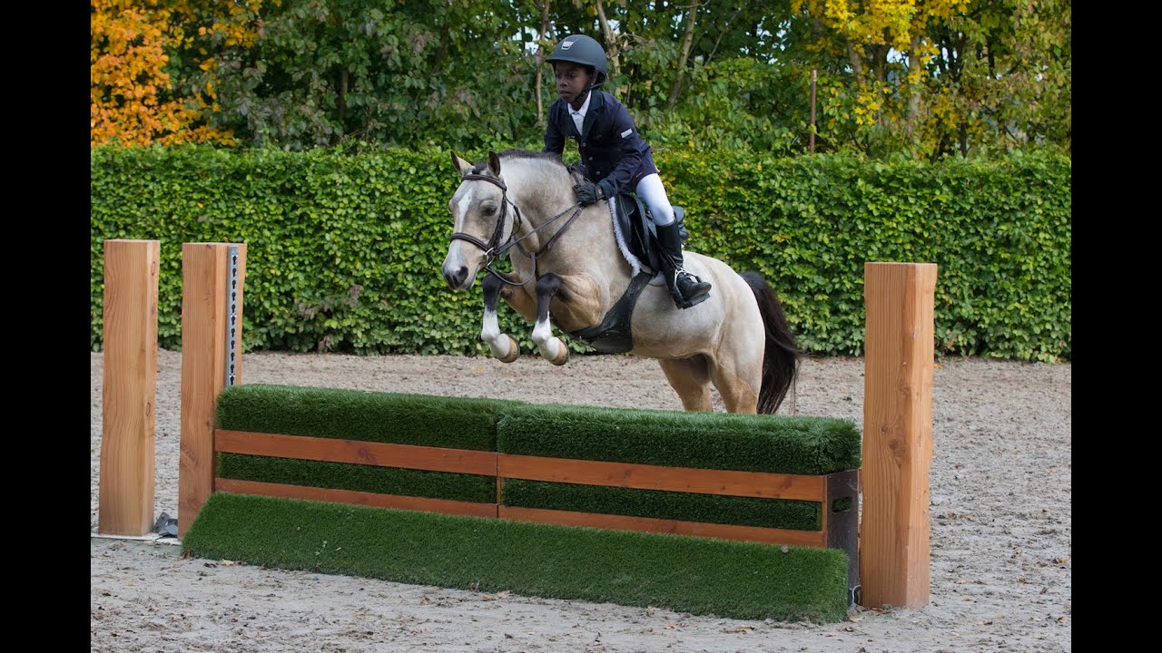 Dressed for Success - Small Pony Hunter Prospect (SOLD) - YouTube