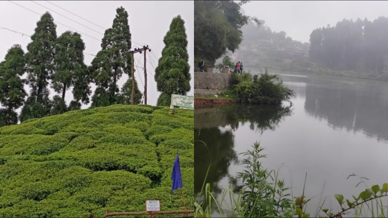 WEST BENGAL, DARJEELING - VLOG 1 || MIRIK LAKE, TEA GARDEN, PASHUPATI ...