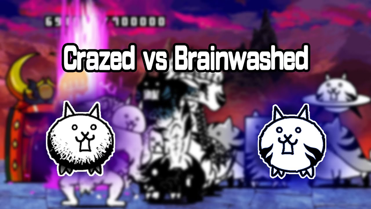 Brainwashed Cats vs Crazed Cats - YouTube