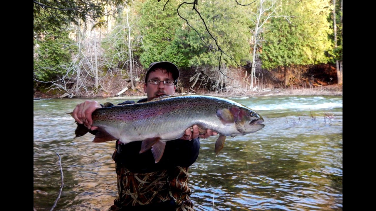 Huge Steelhead on the Centerpin - YouTube