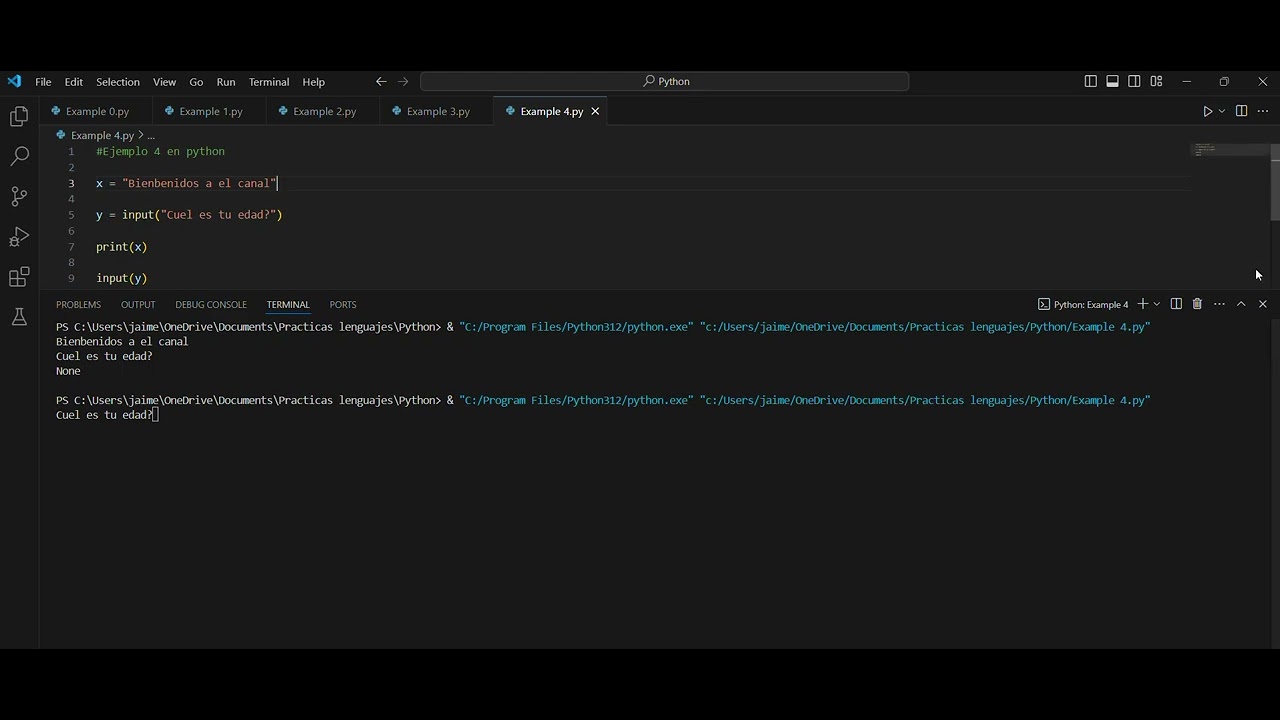 Example 4 | Python - YouTube