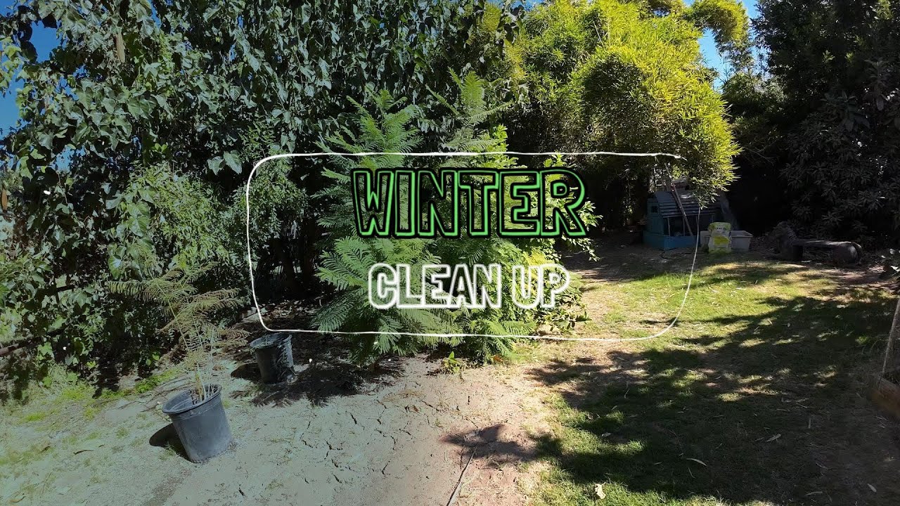 Winter Clean up - YouTube