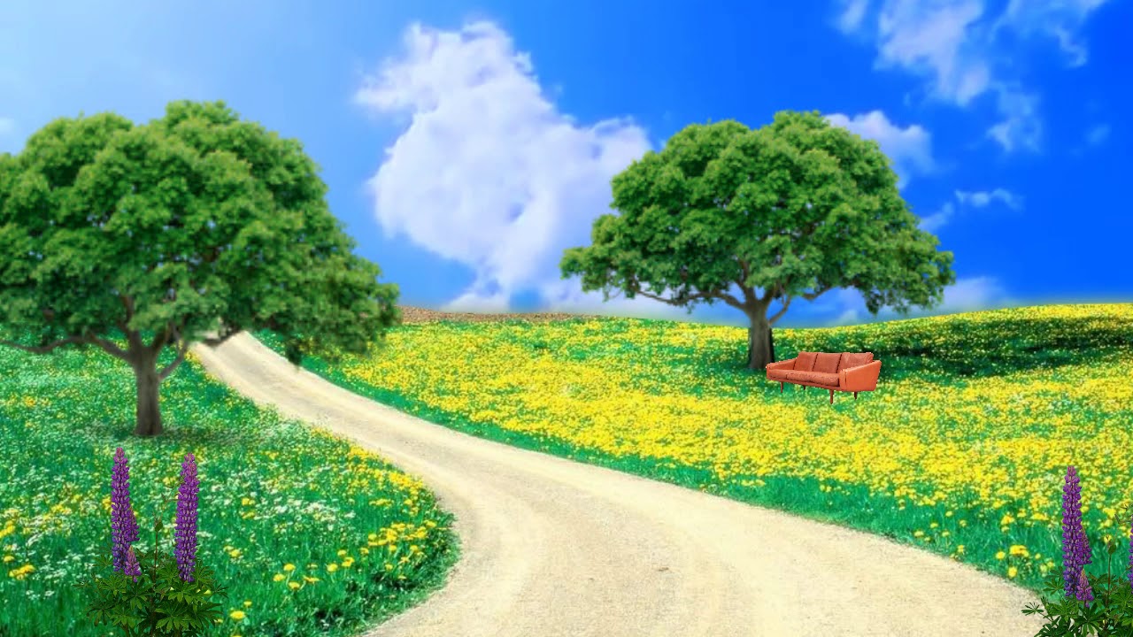 Background videos Tree no copyright video very nice video #green # ...